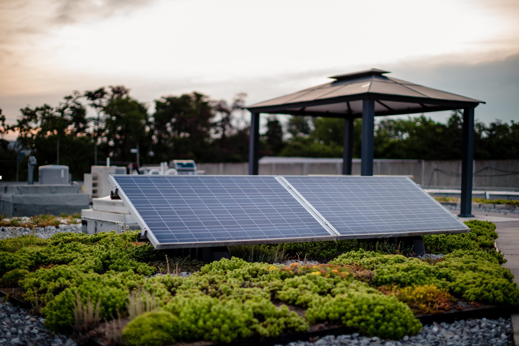 Green Roofs + Solar - Prospect Solar
